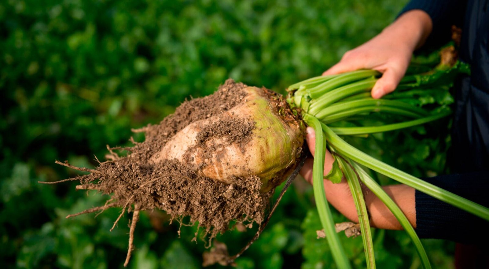 Parfums Christian Dior, Givenchy Parfums and Kenzo Parfums support ...