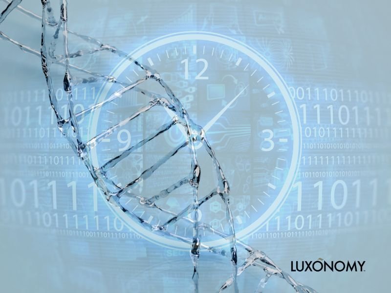 Epigenetic Clocks and Biological Age: The New Luxury of Longevity ...